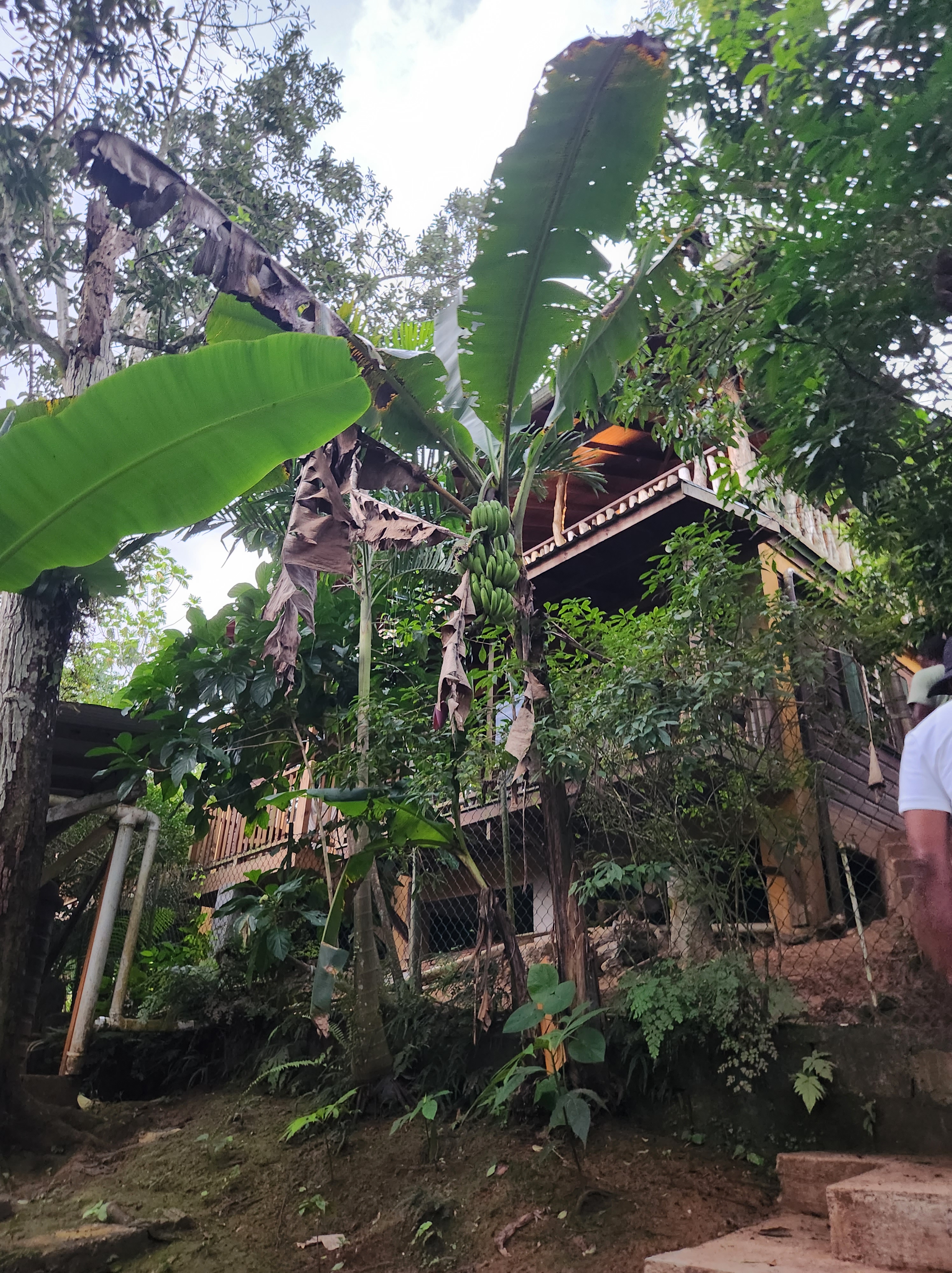 Jamaica – Off the Beaten Path – The Unknown Ahead